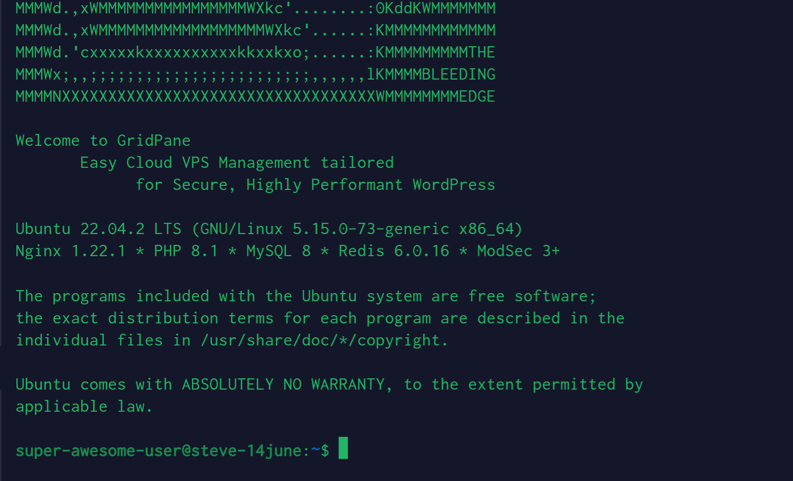 Connect To A Gridpane Server By Ssh As A System User Gridpane